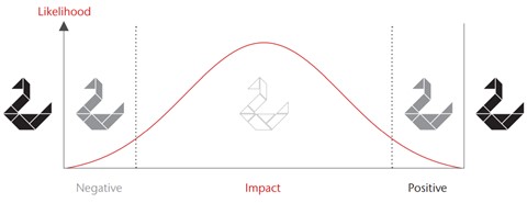 Swans, Rhinos and Elephants Are Animating Risk Debates