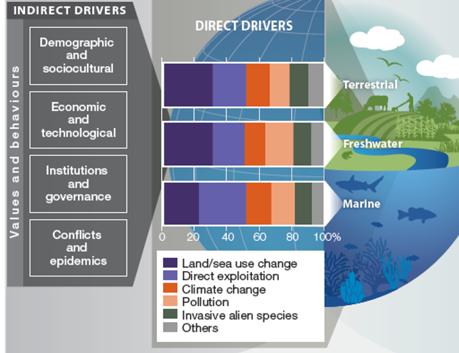 Understanding How Biodiversity and Climate Change Are Interconnected