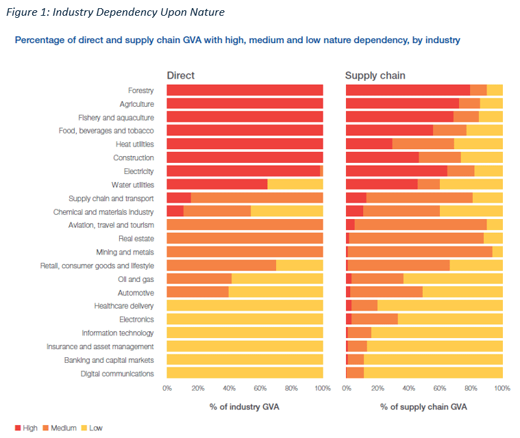 Nature Risk Measurement Is Evolving