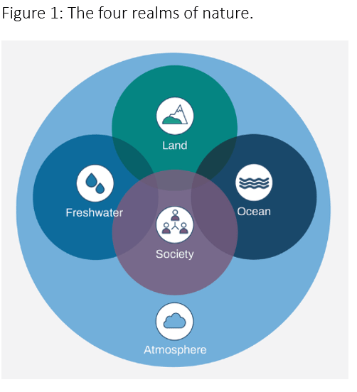 3 Key Areas for Understanding Nature-Related Risks