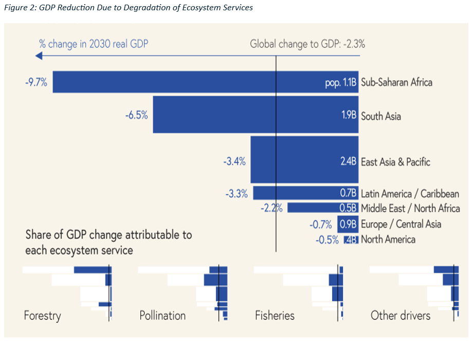 Nature Risk Measurement Is Evolving