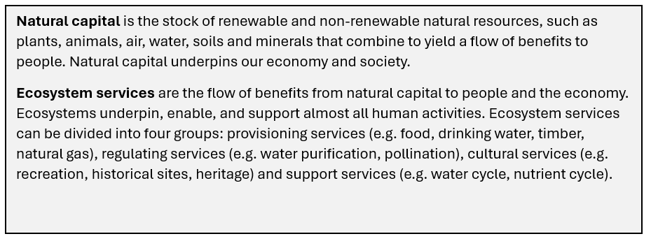 Nature Risk Measurement Is Evolving