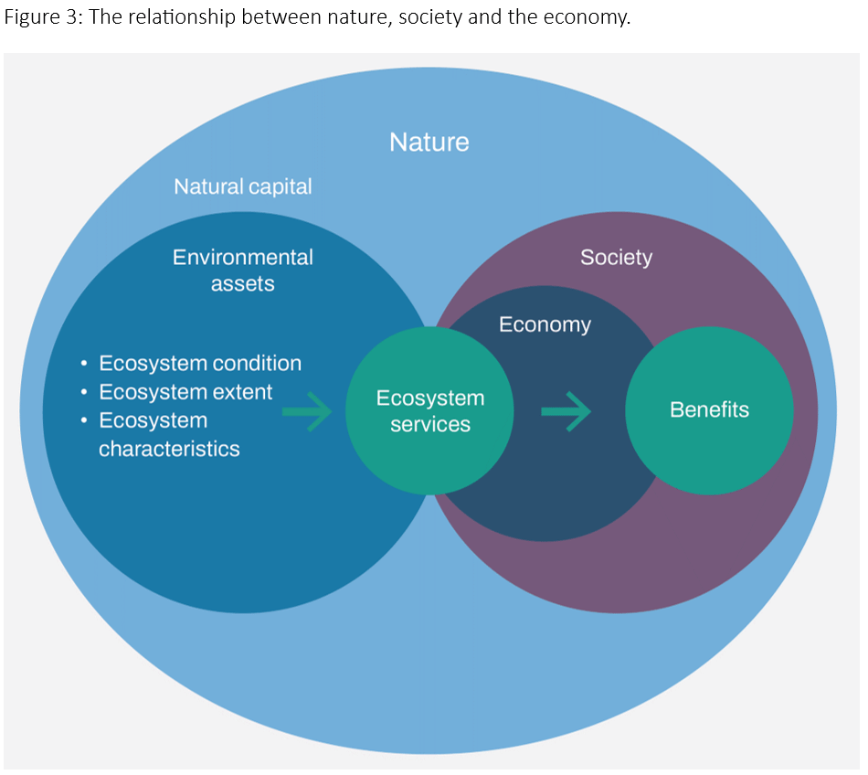 3 Key Areas for Understanding Nature-Related Risks