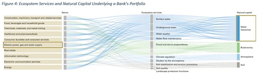 Nature Risk Measurement Is Evolving