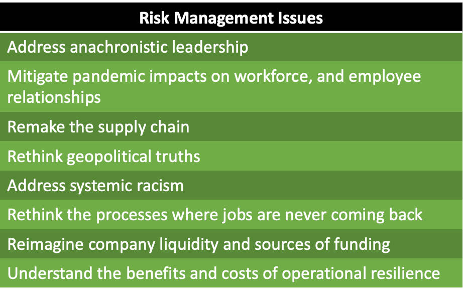 Transformational Risk Leadership in Turbulent Times: How to Address ...