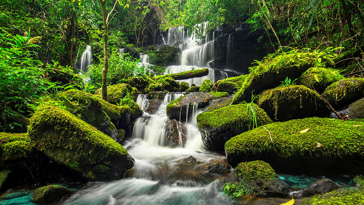 Global Survey of Nature Risk Management at Financial Firms